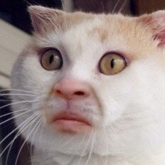 真新镇的皮在痒 