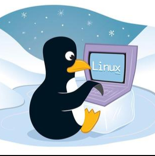 linux哲学探索中 