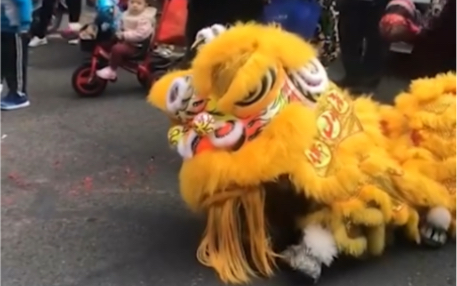 困“狮”了!舞狮候场即兴表演卧地打瞌睡