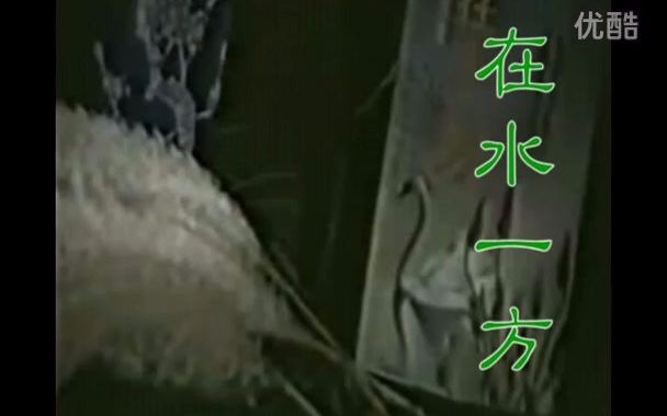 1986大陆版在水一方主题歌《在水一方》孙青