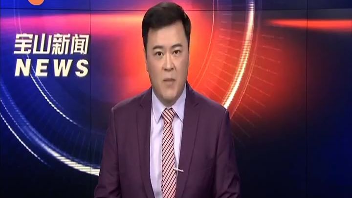 宝山区核发首张社会投资项目施工许可证