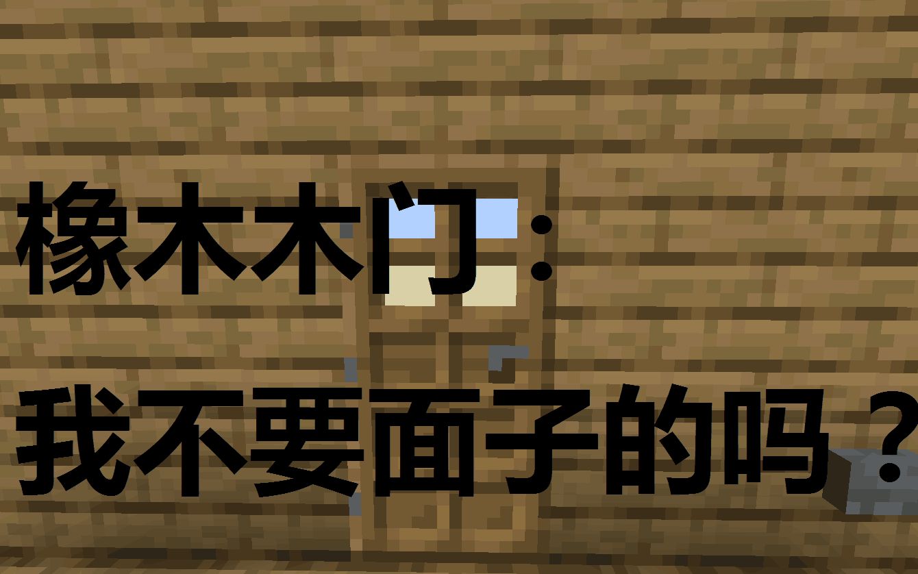 【我的世界】普通木门——多此一举
