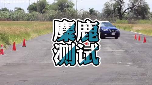 麋鹿测试最差排名