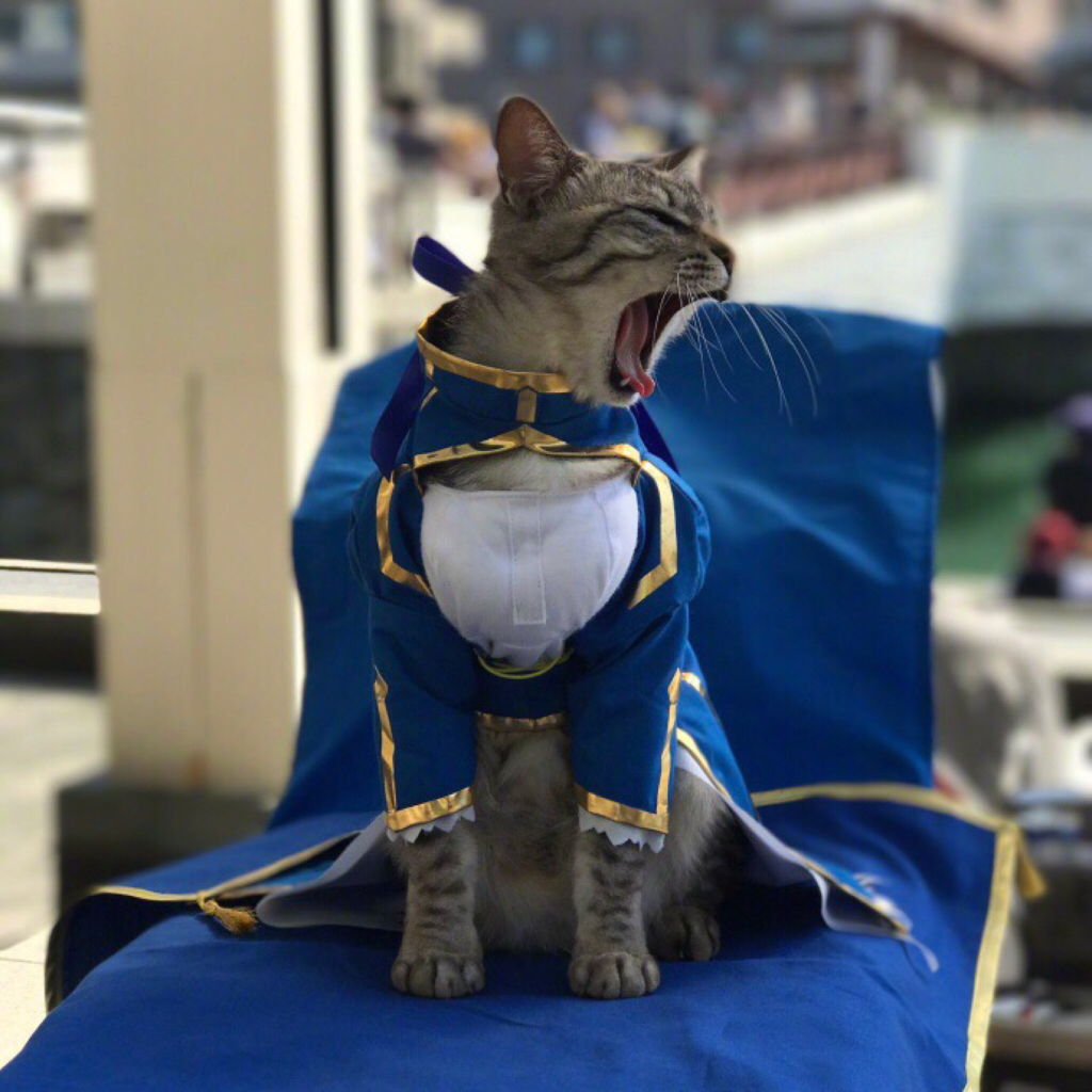 淡月梨花借梦来 