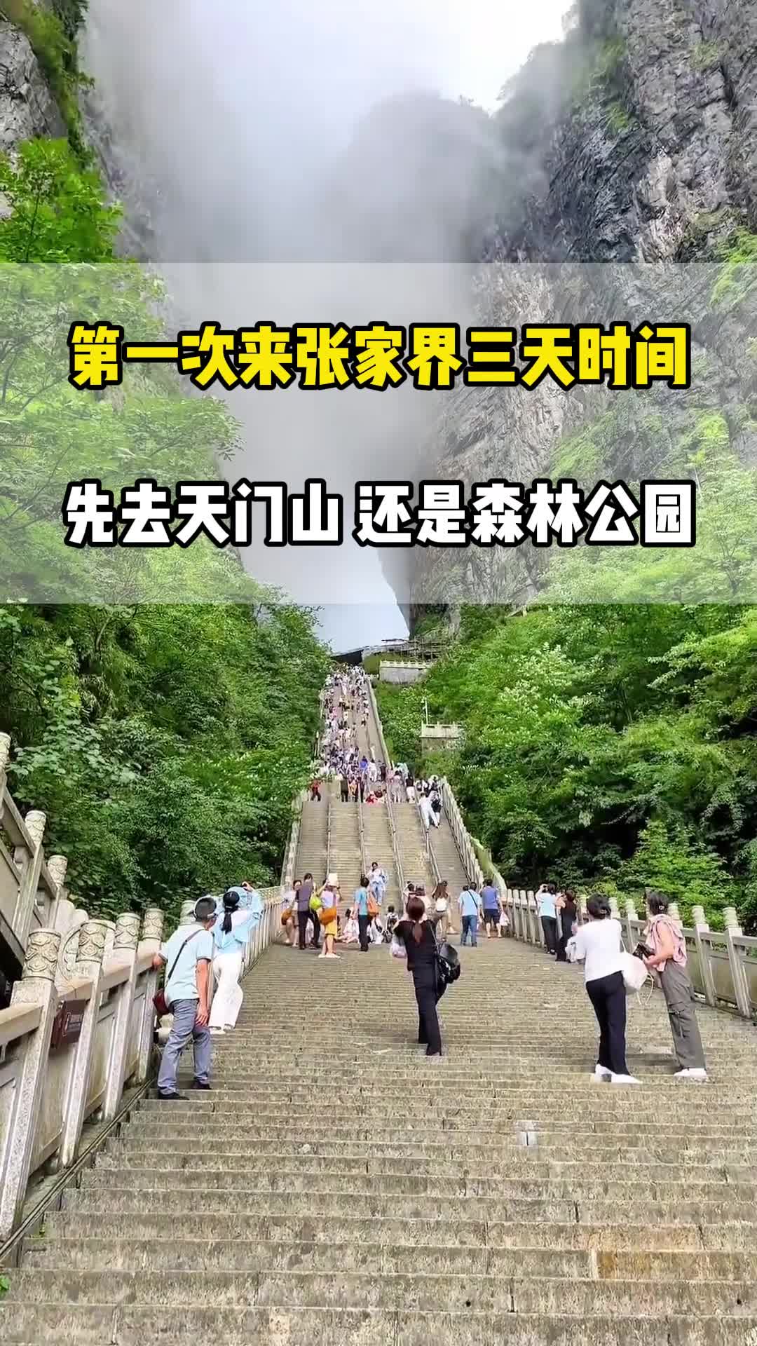 第一次来张家界,不想跟团,自由行太麻烦,来看看我们家2-8人小团,带你...