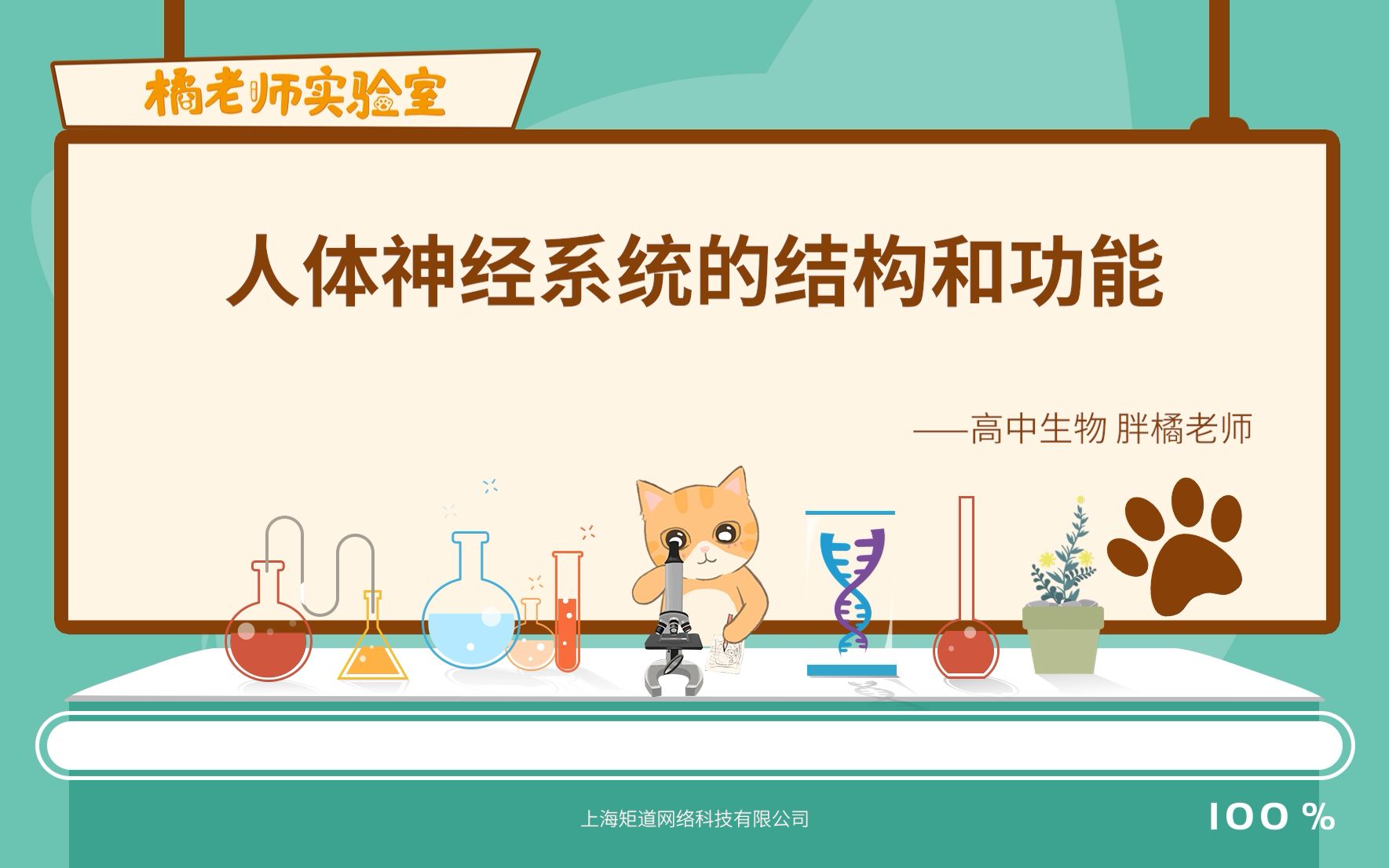 【橘老师实验室】人体神经系统的结构和功能