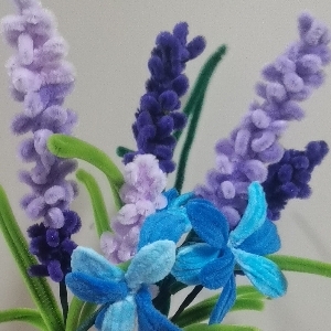 东篱雪清 