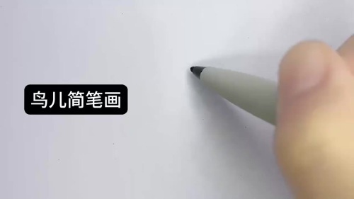 儿童简笔画:鸟儿画法技巧