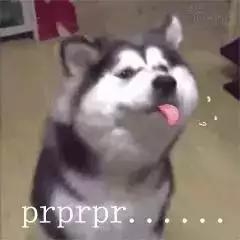 巡天战士 
