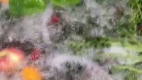 超声波洗碗机 多功能洗菜机 酒店洗碗机哪个厂家质量好江苏净科达...