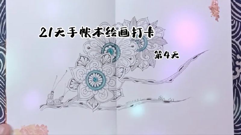 不会画画的看过来,21天手帐本绘画打卡,简单易学