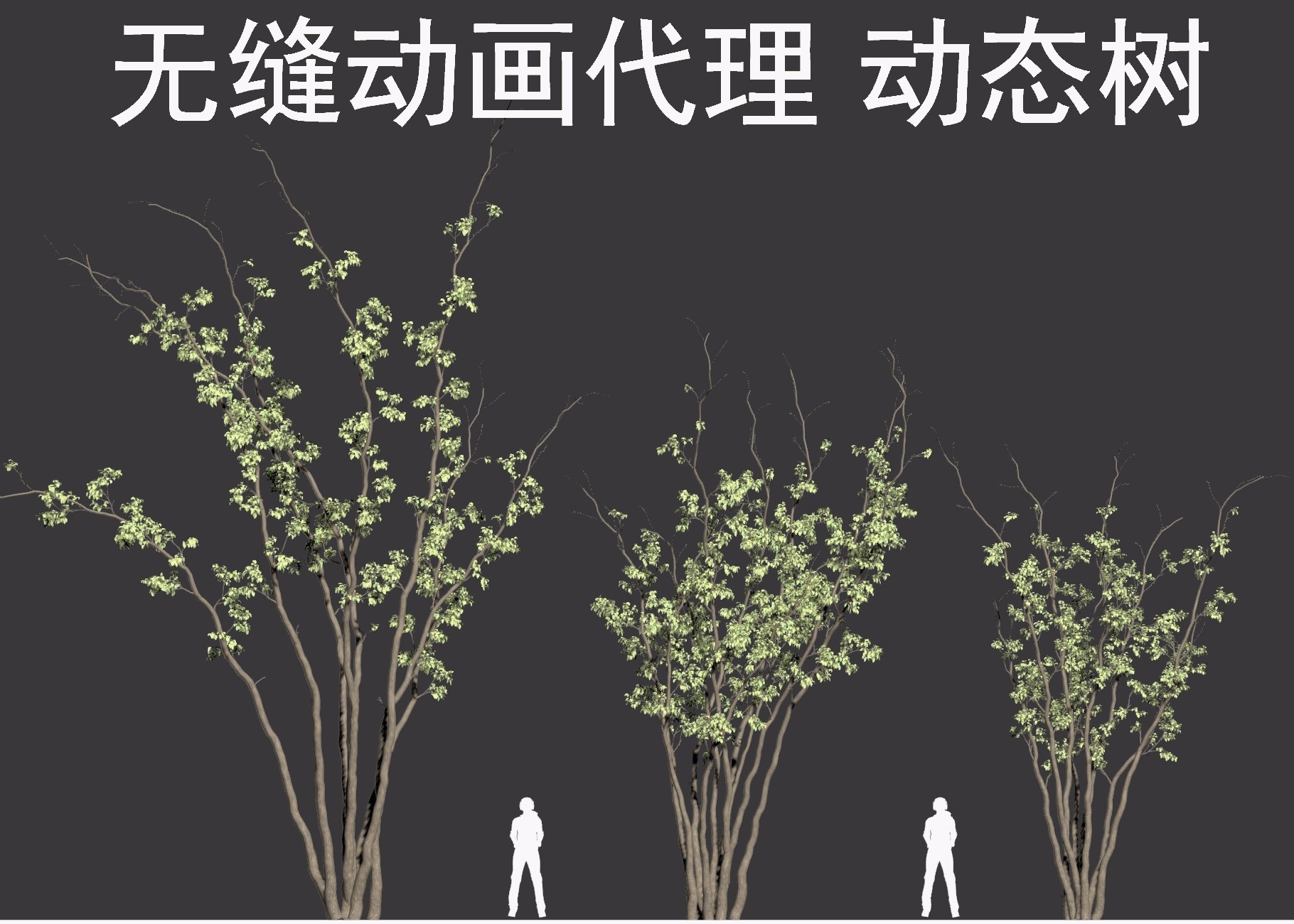 无缝动态,VR动画代理动态树,精致好用