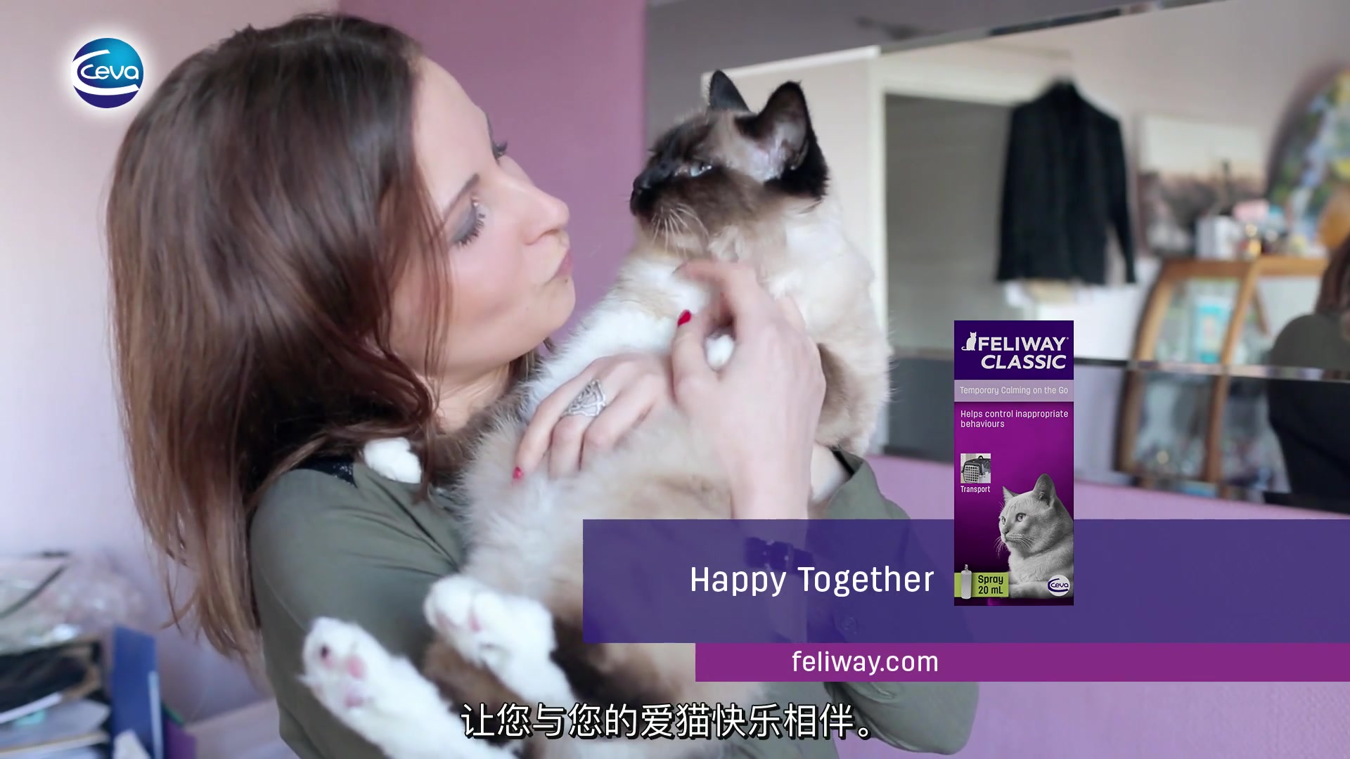 费利威 经典 - 如何防止猫咪到处滋尿