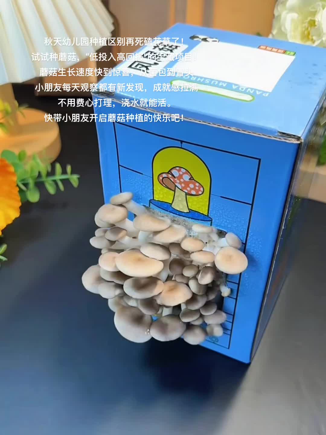 ...“低投入高回报”的宝藏项目! 蘑菇生长速度快到惊喜,从菌包到冒头 ...