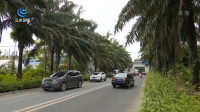 找差距 抓落实 我们在行动:检视生态环境整治突出问题 强化整改落实