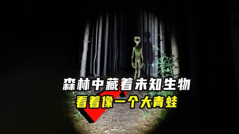 寂静的森林里,出现奇怪的未知生物,据说像一只青蛙