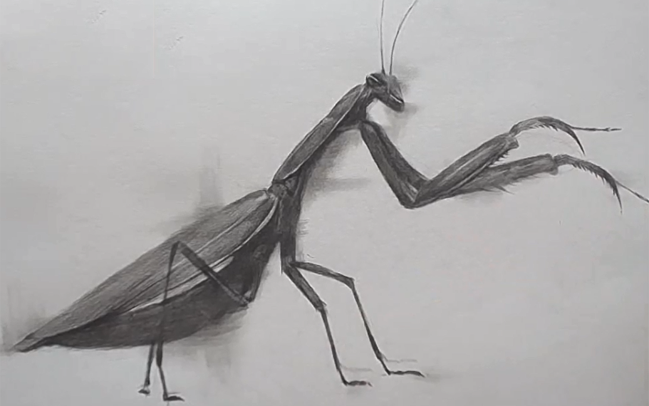 教你学画画——从零基础素描入门开始教！！！