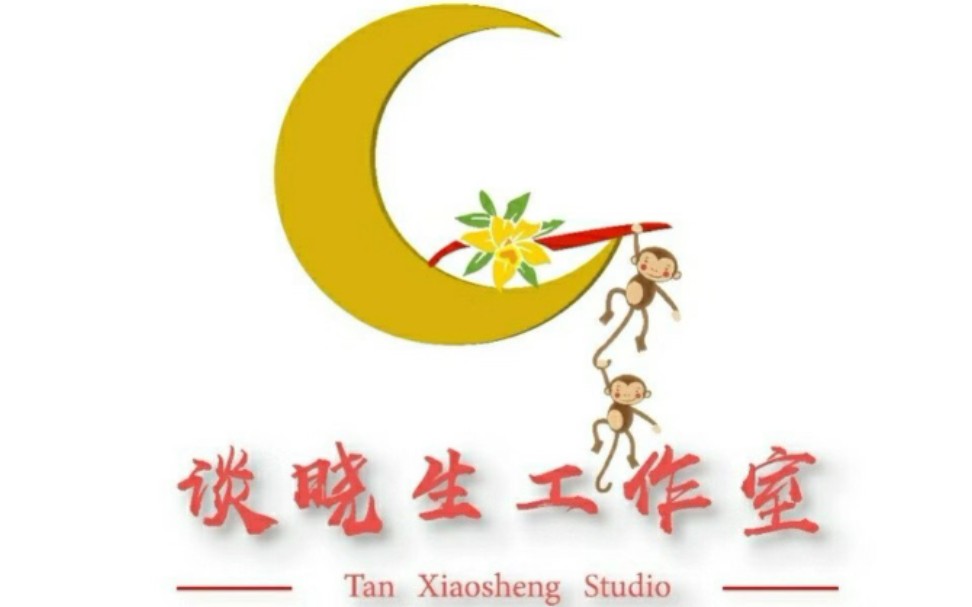 【谈晓生工作室】趣味编程微视频系列-源码编辑器