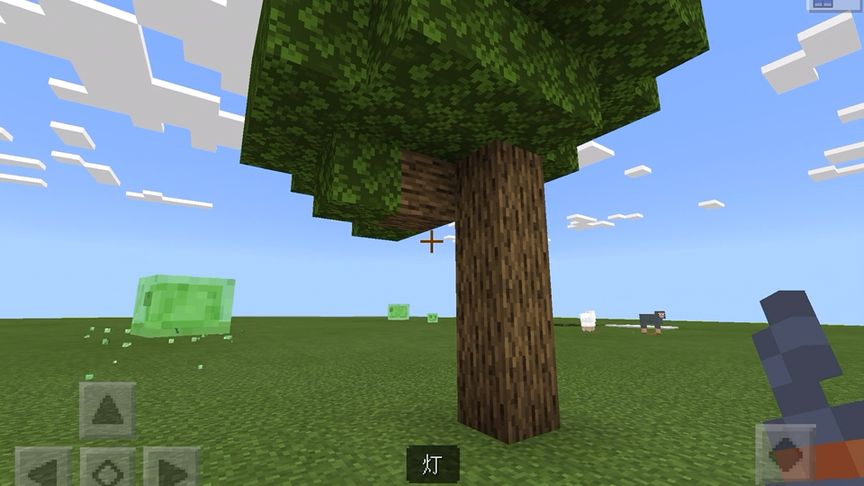我的世界:种树技巧