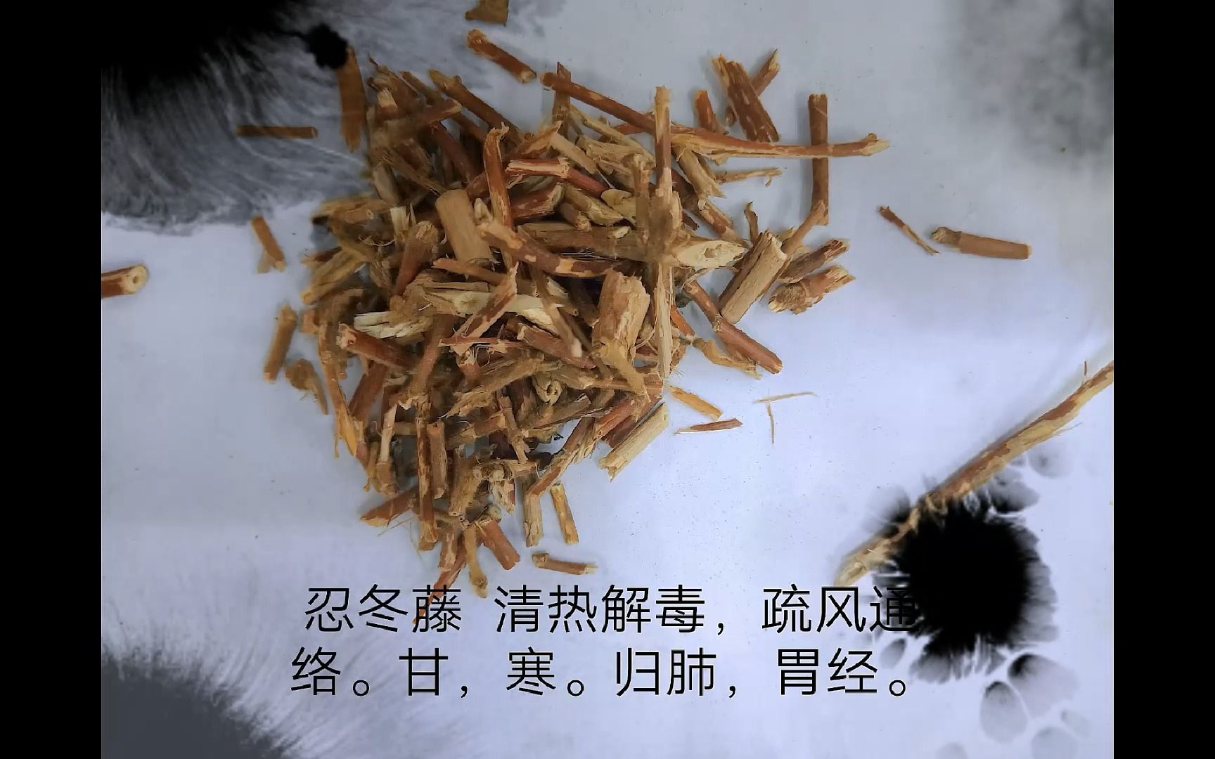 中医药传统文化魅力与瑰宝,千年中华的才智,问答灵素的缘赐,亦真亦善,...