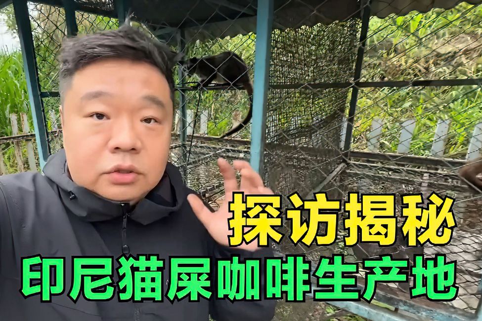 潜入印尼猫屎咖啡生产地,探访揭秘生产全过程,差点被村民打了!