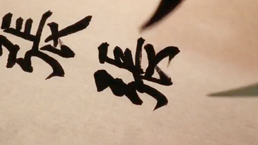 张字的楷行草隶写法