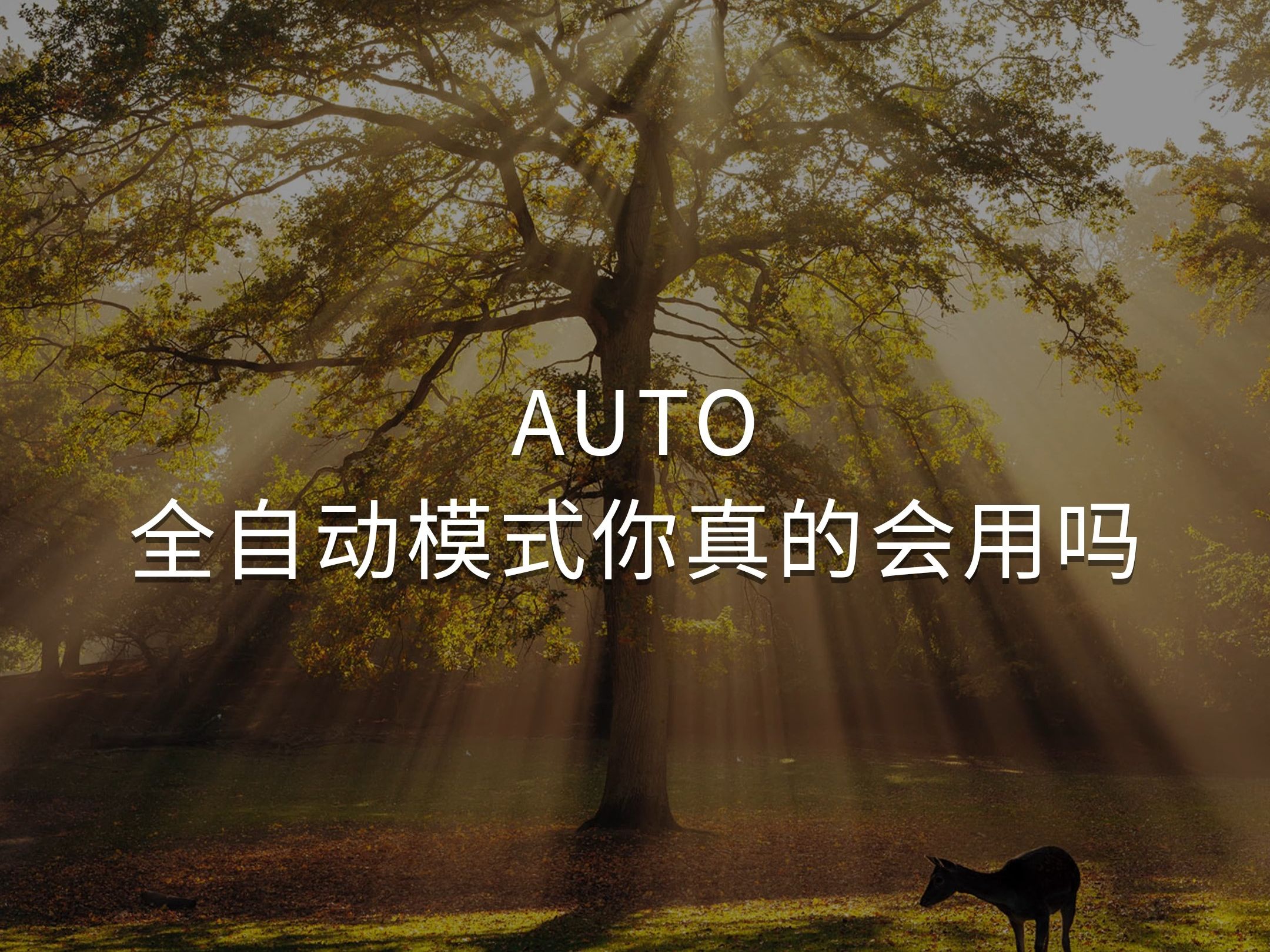 AUTO全自动模式你会用吗