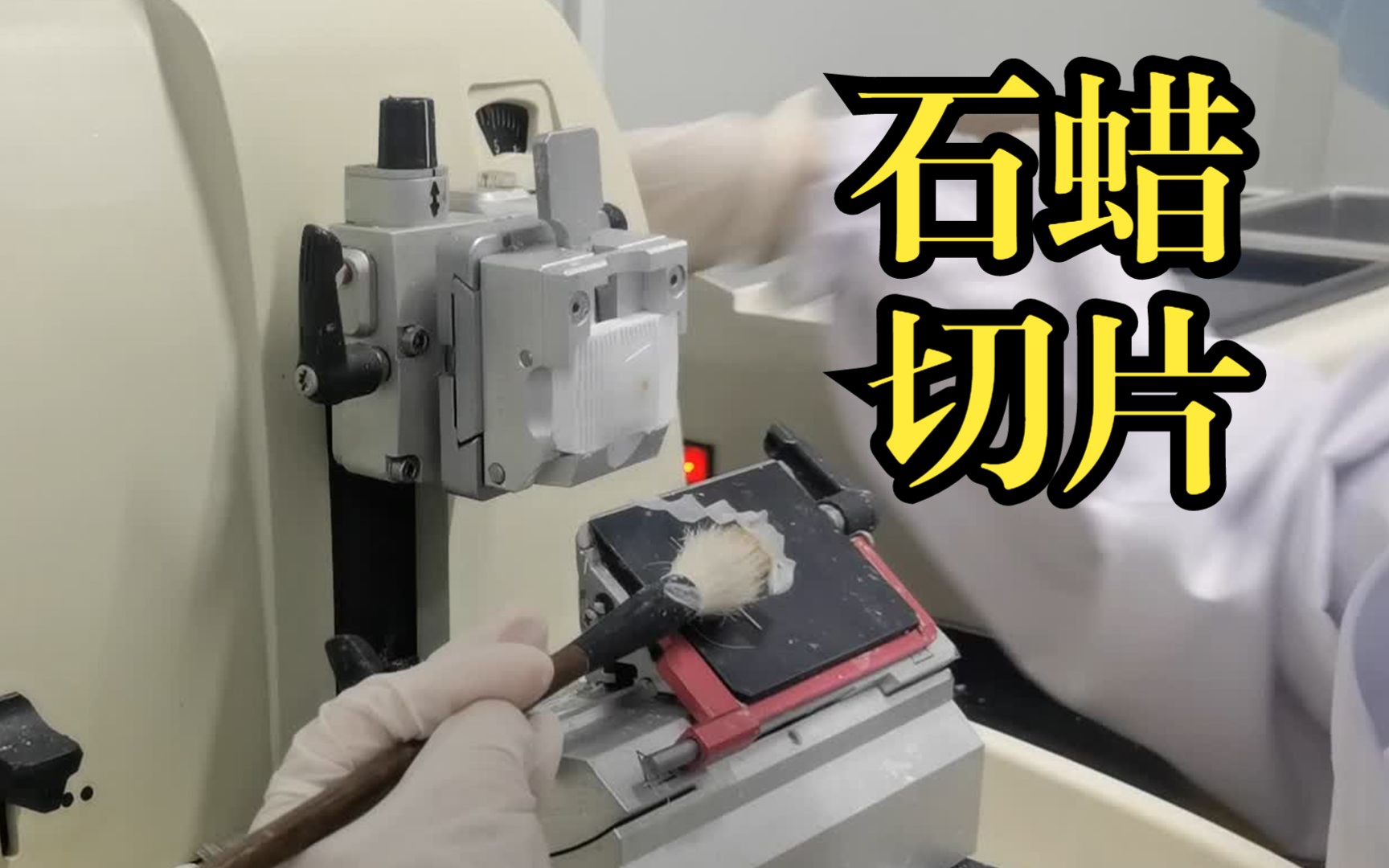 【石蜡切片】实验操作详解+注意事项&组织切片制作流程 |病理实验|...