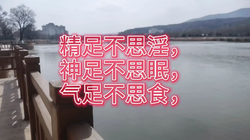 精气神,三种动物早经表现的淋漓精致