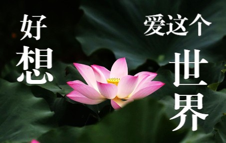 SBC服务器搜狗卡录像