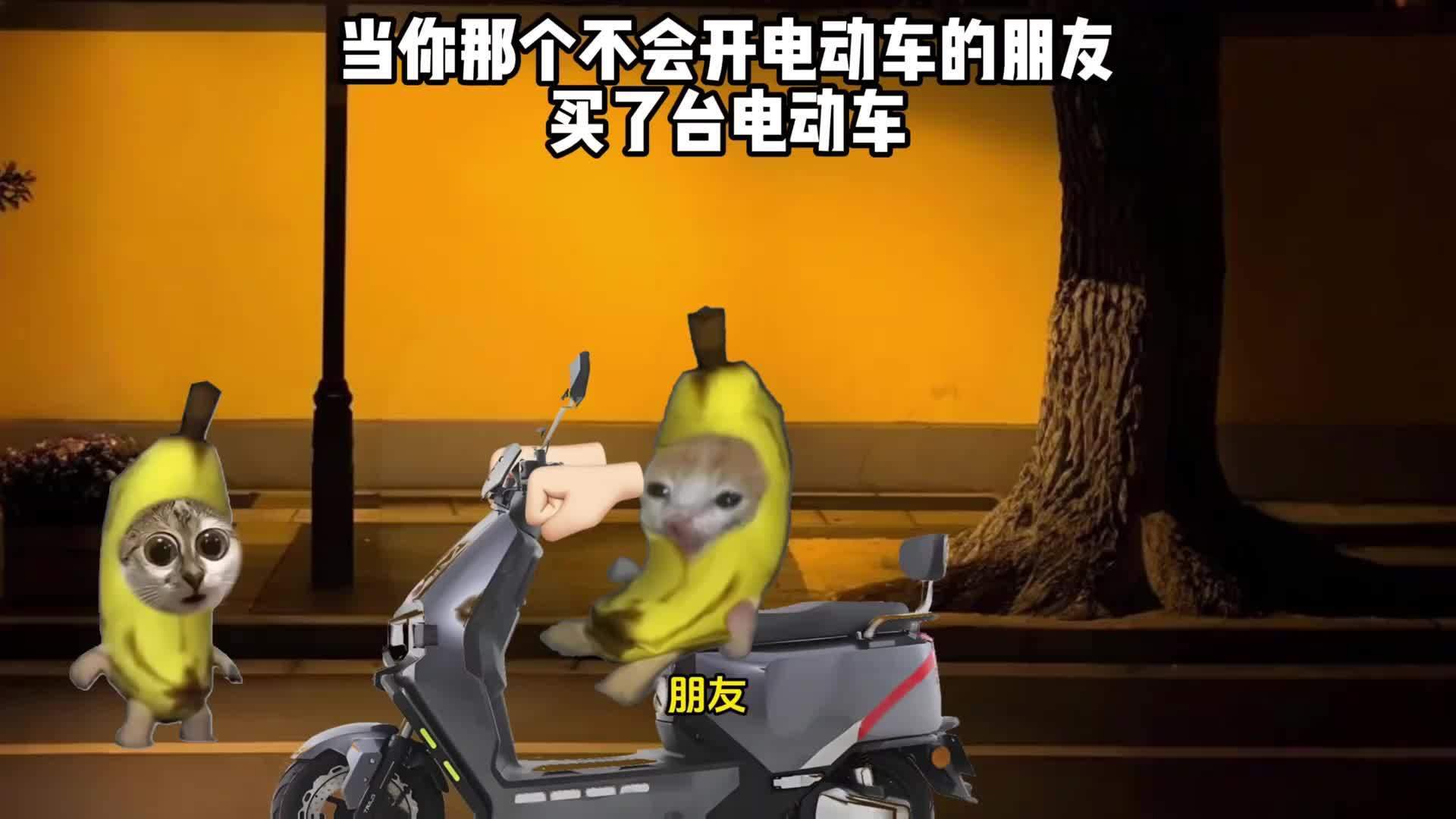 当你那个不会开电动车的朋友买了台电动车