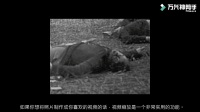如何将图片制作成动态视频