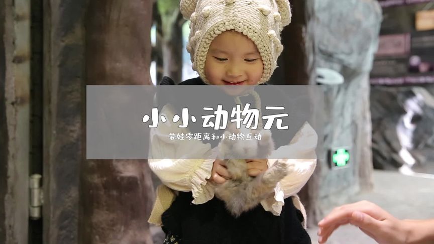 和孩子一起玩|能与小动物零距离互动的开放式动物园