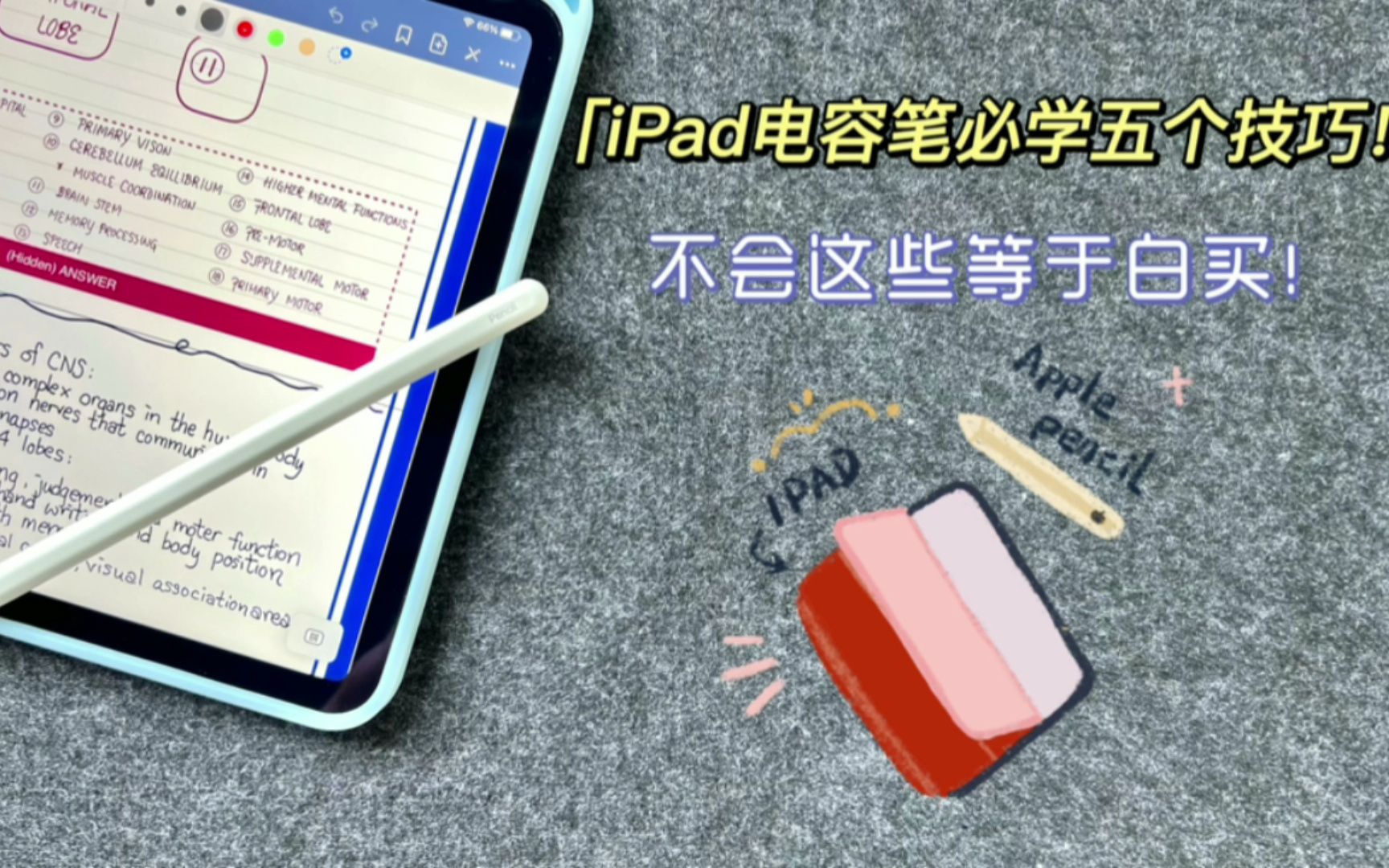 这些电容笔小技巧!你不学就白买了!