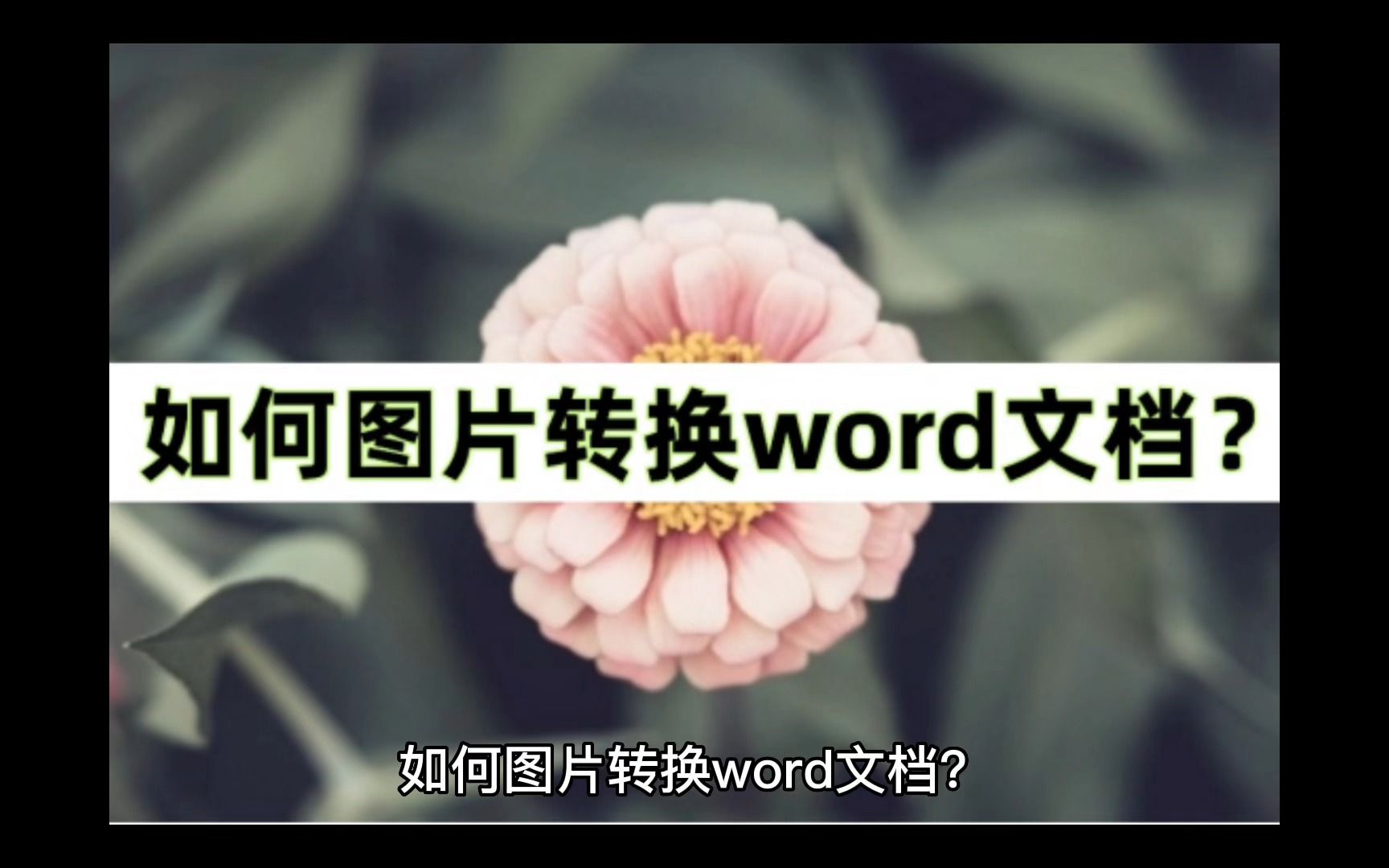 如何图片转换word文档?教你两招图片转Word方法