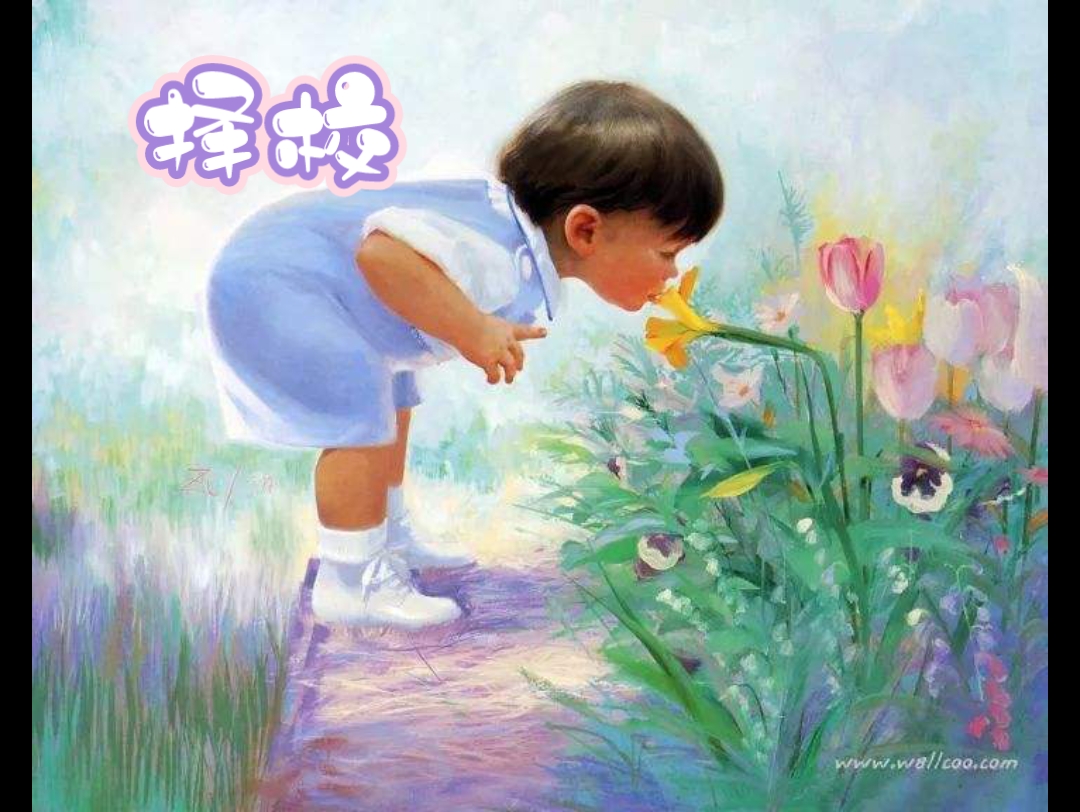如何根据孩子的设计选择学校