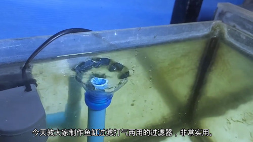 养鱼爱好者必备,制作过滤打气两用的鱼缸过滤器,特别的实用