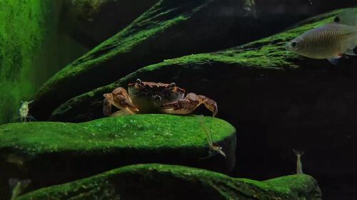 生物多样性,给大家