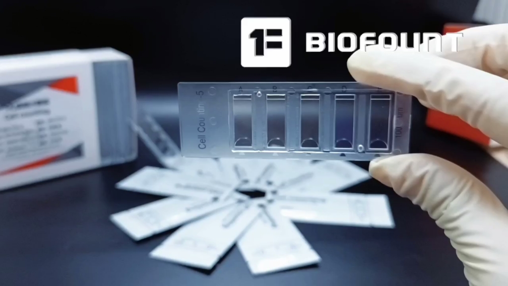 国产五孔细胞计数板-一杯酱香拿铁的价格