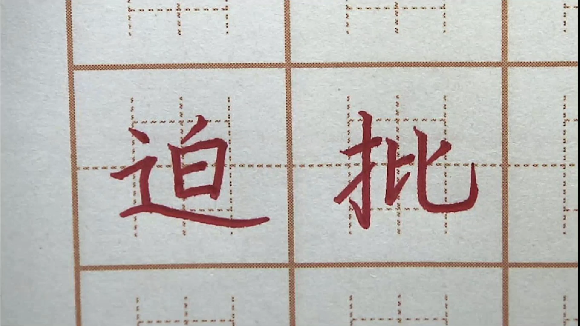 “白”字不能碰到走之儿,匕字再高一点?六年级楷书练字硬笔书法