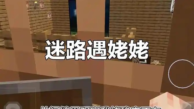 迷失森林中,我找到了失踪半年的姥姥!