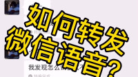 微信聊天语音转发给别人,这个方法最简单
