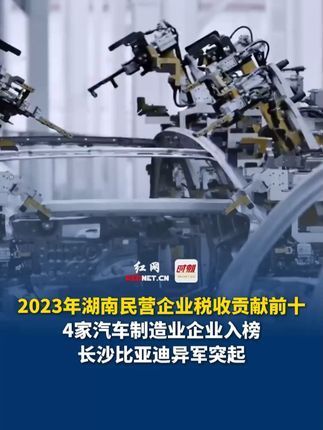 2023年湖南民营企业税收贡献前十,4家汽车制造业企业入榜,长沙...