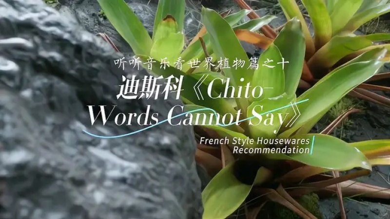 《Chito Words Cannot Say》听听音乐看世界 视觉盛宴