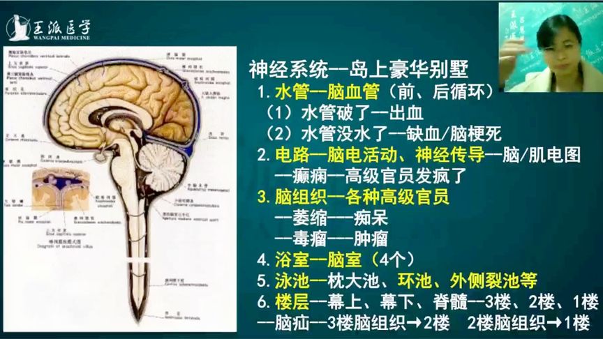 通过岛上豪华别墅,带你解剖大脑神经系统的结构