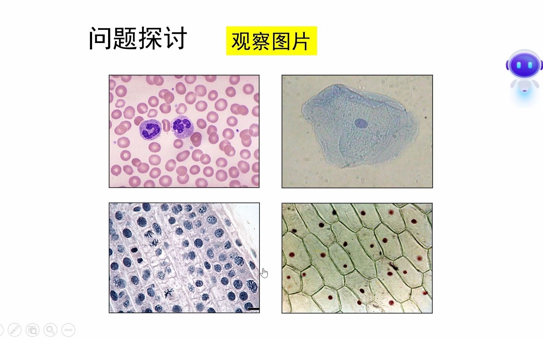 细胞具有多样性和统一性全 磨课