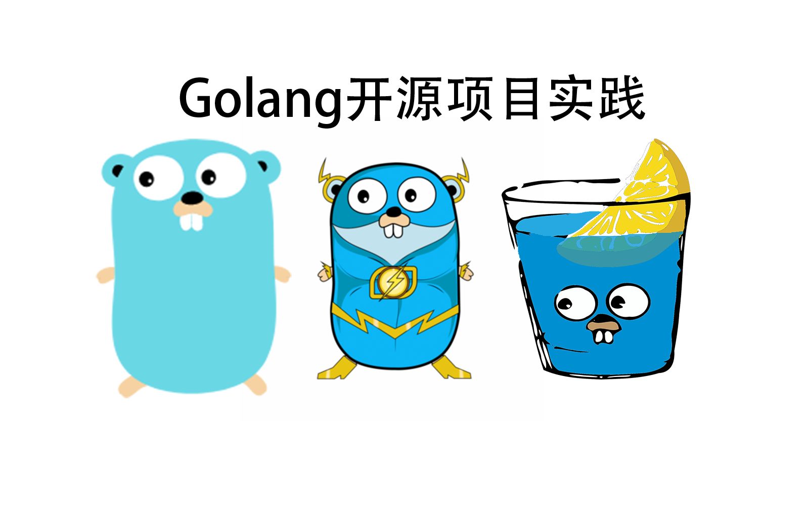 Golang开源项目推荐,护发行动现在开始