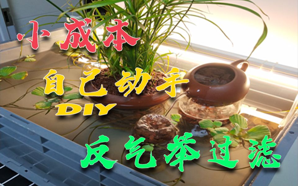 自己动手废物利用制作鱼缸反气举过滤器