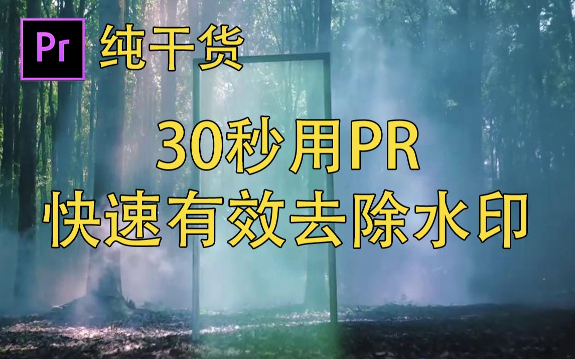 【PR】30秒快速有效去除水印!一键解决,纯干货!