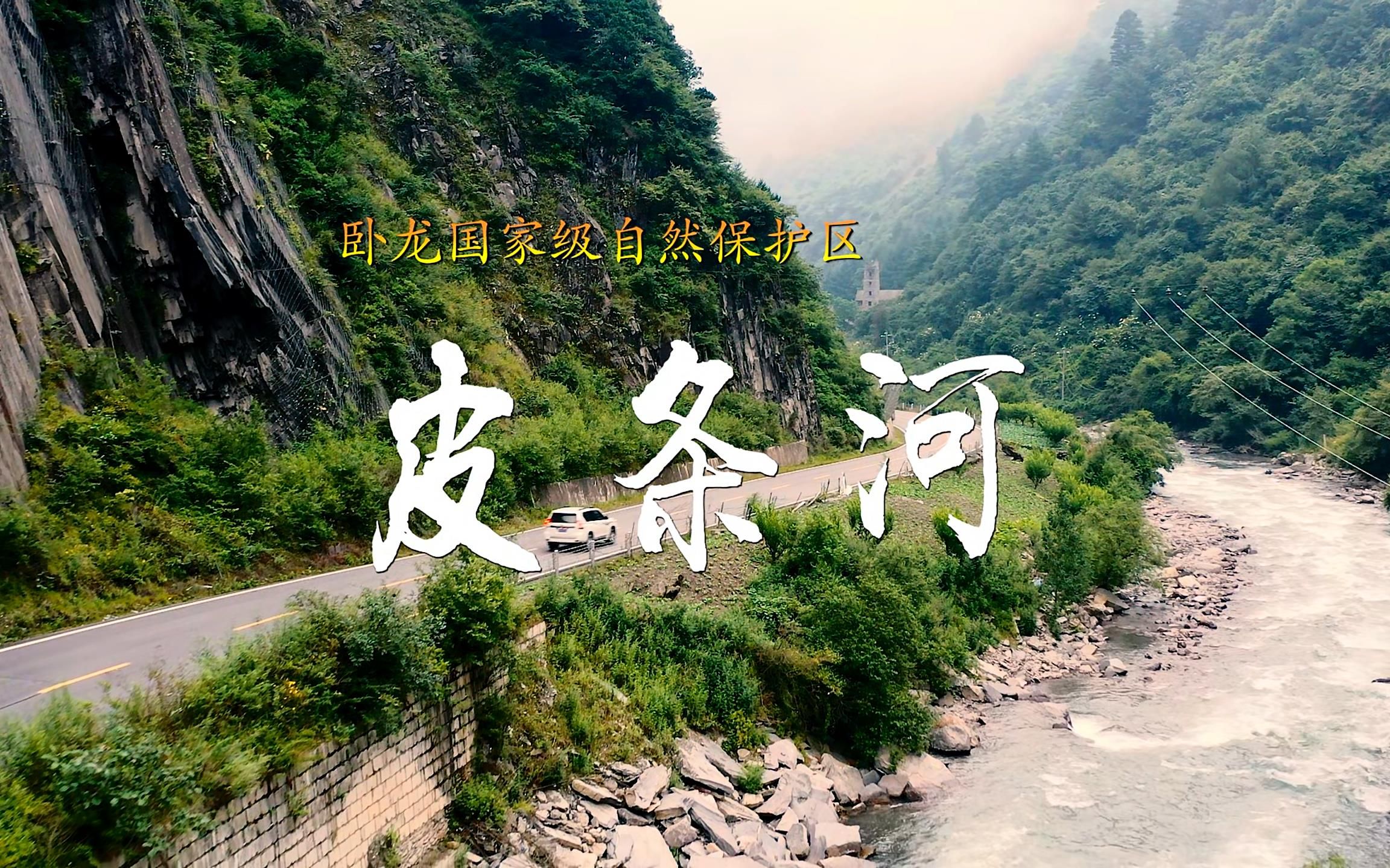 卧龙自然保护区——熊猫的故乡,位于四姑娘山东麓的皮条沟两岸。...